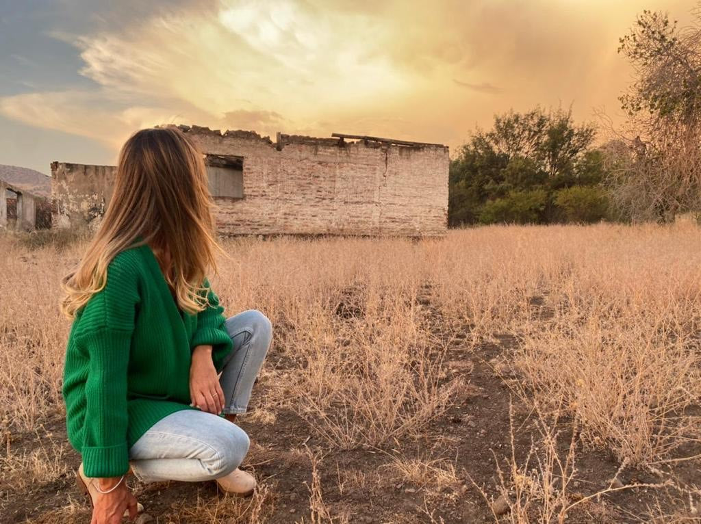 Shop Me Mola – memola.cl